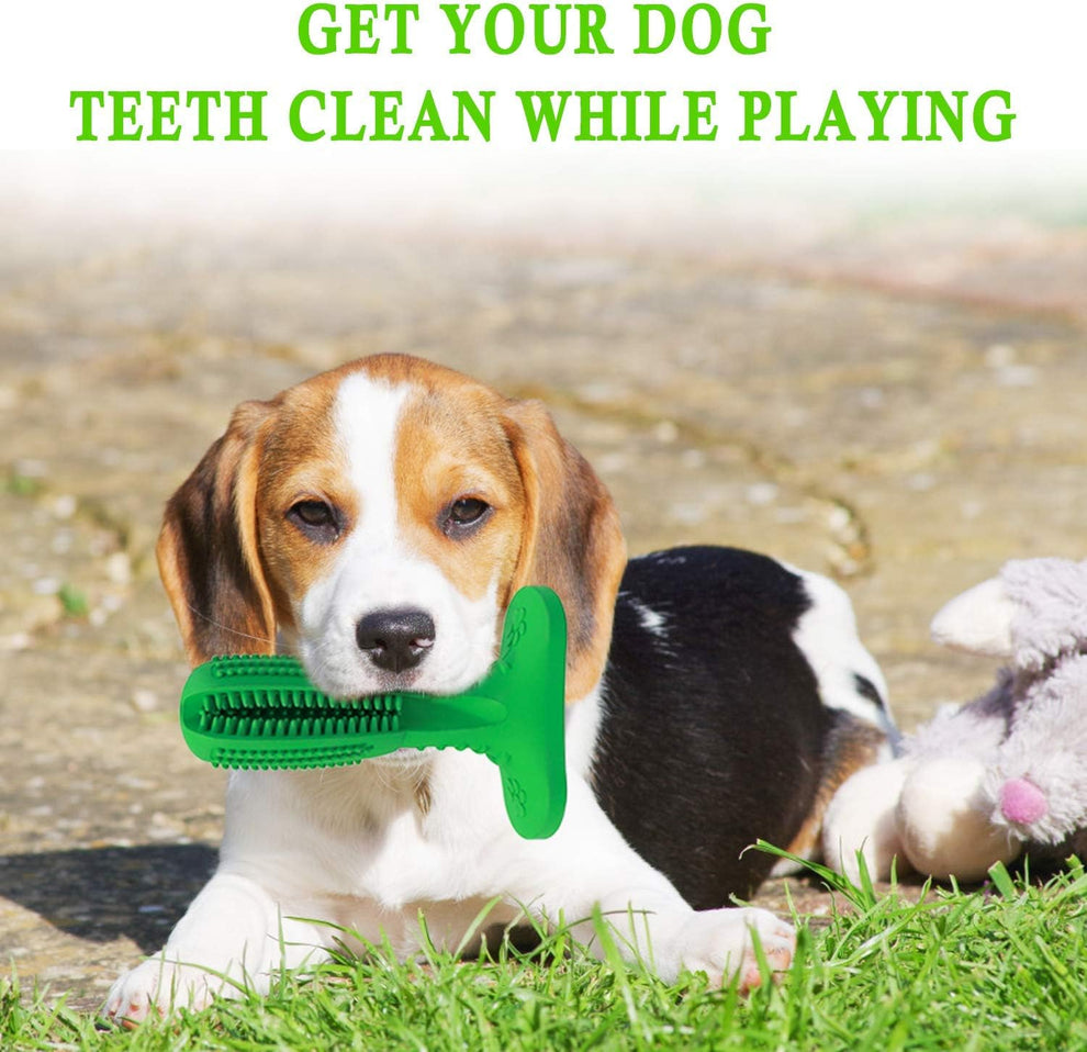 Dental Care Brushing Stick – Furever Love
